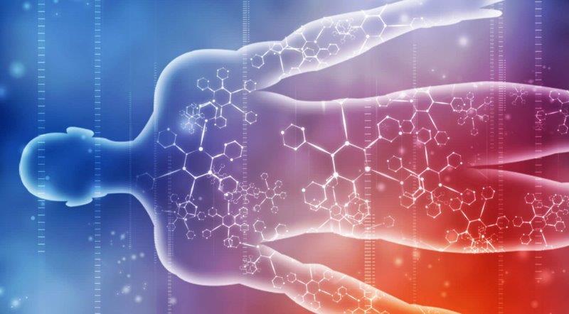 Electrolitos: qué son y qué importancia tienen en los seres humanos ...