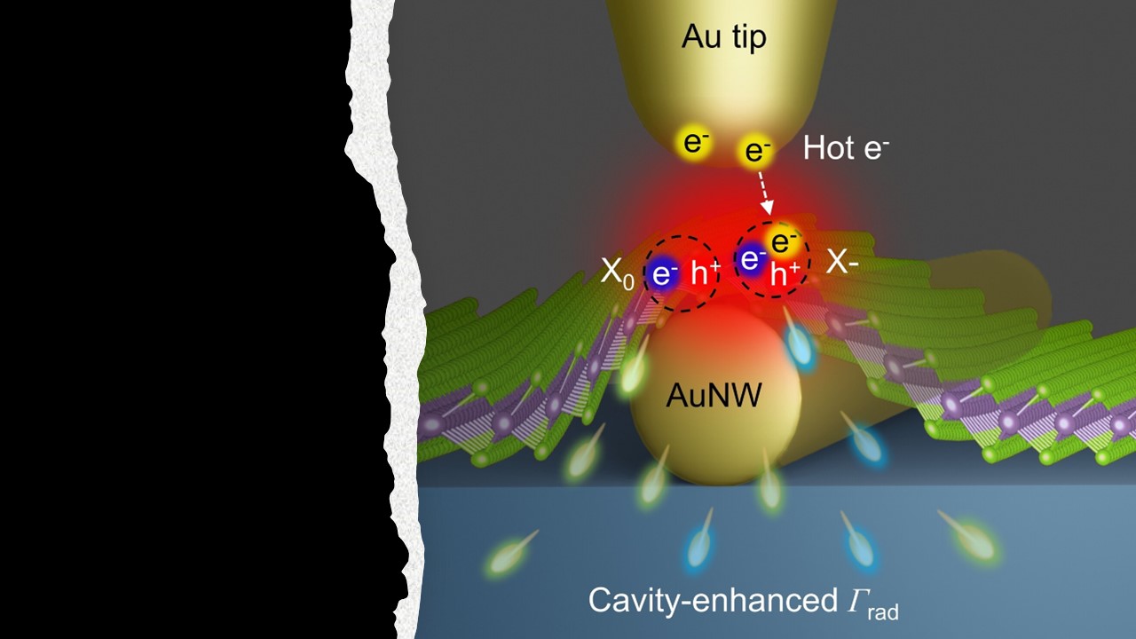 Qué es un trion - TRIPLENLACE